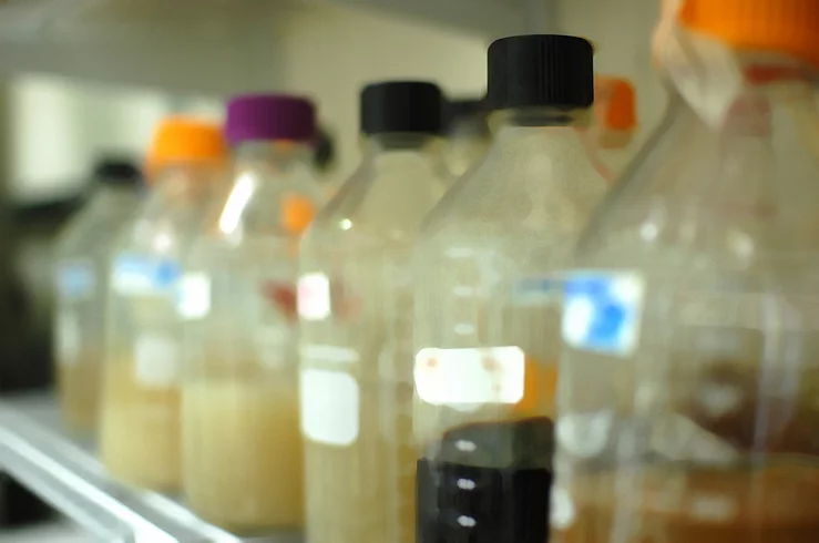 Abalone Bio, la nueva empresa incubada en el Espacio FAN - Fundacion ...